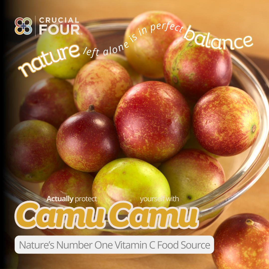 Boost Your Immunity This Flu Season with Nature’s Super Vitamin: Camu ...
