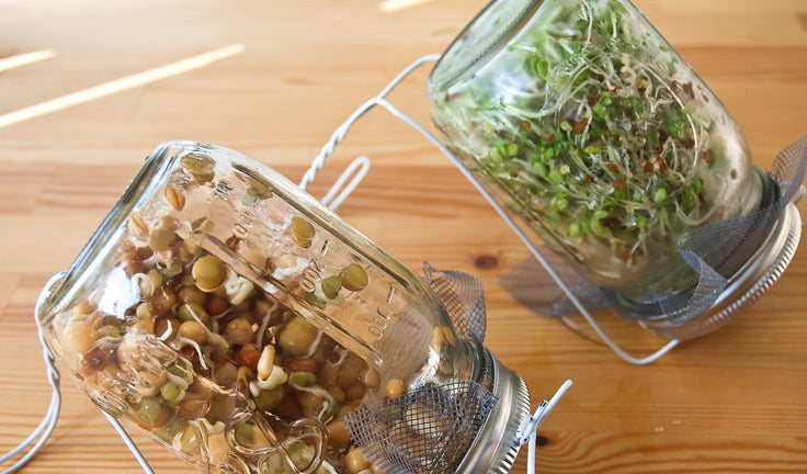 The Benefits of Sprouting Grains – Crucial FOUR | Feel Limitless with ...