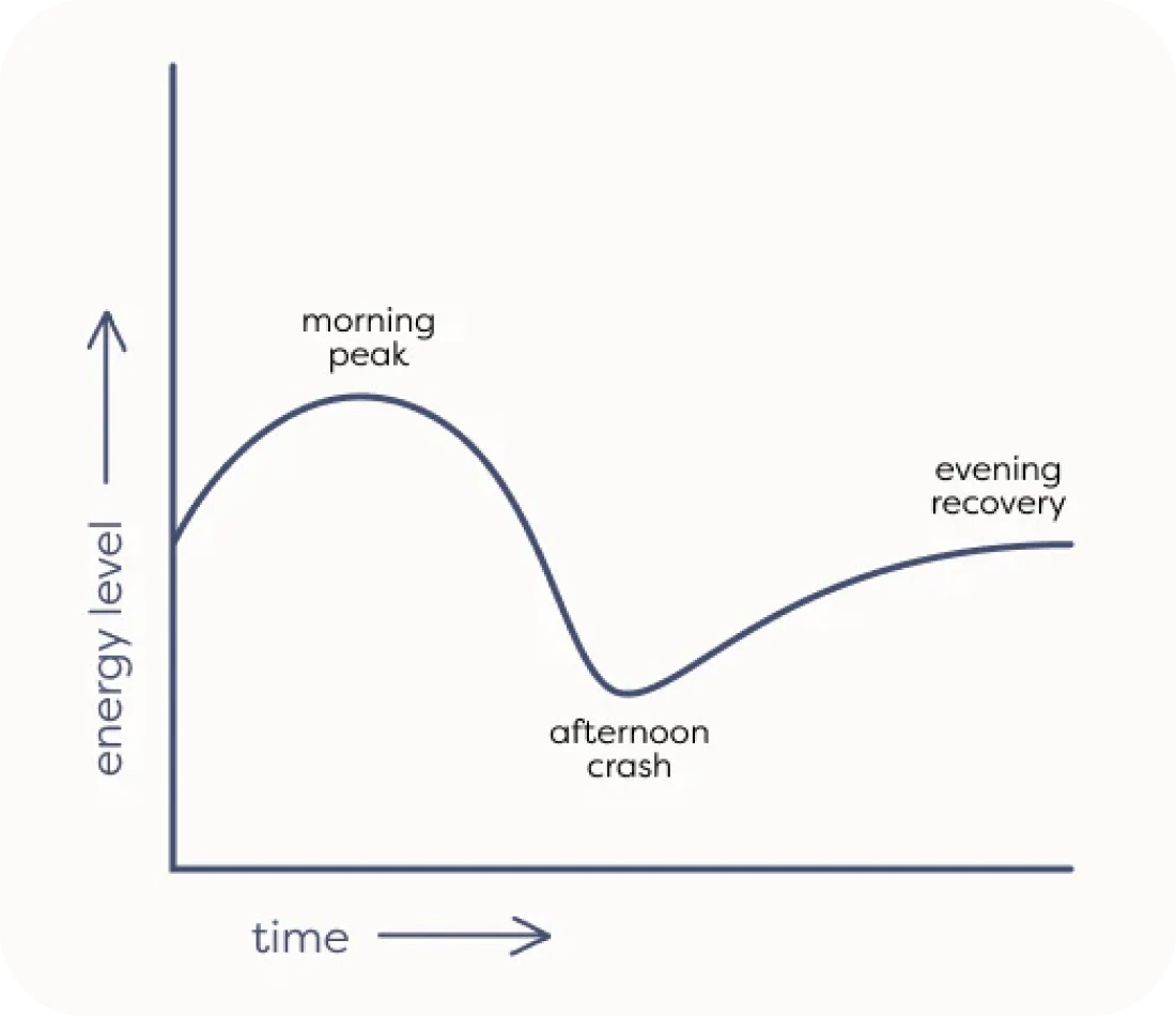 The Real Reason You Crash at 2PM Even With Perfect Sleep and Diet ...